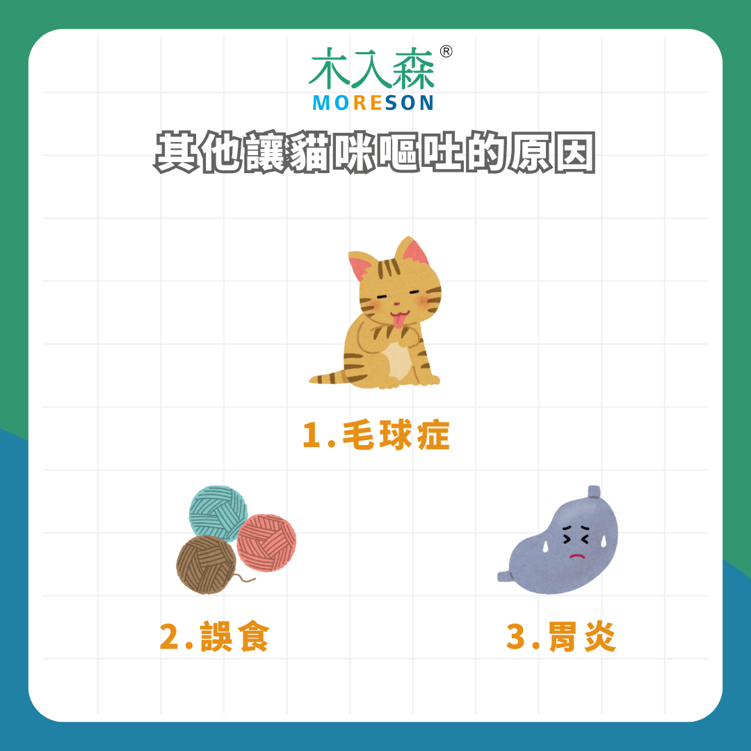 貓咪吐黃水該如何處理 - 木入森Moreson｜寵物保健食品｜犬貓營養分類 精準保健補充